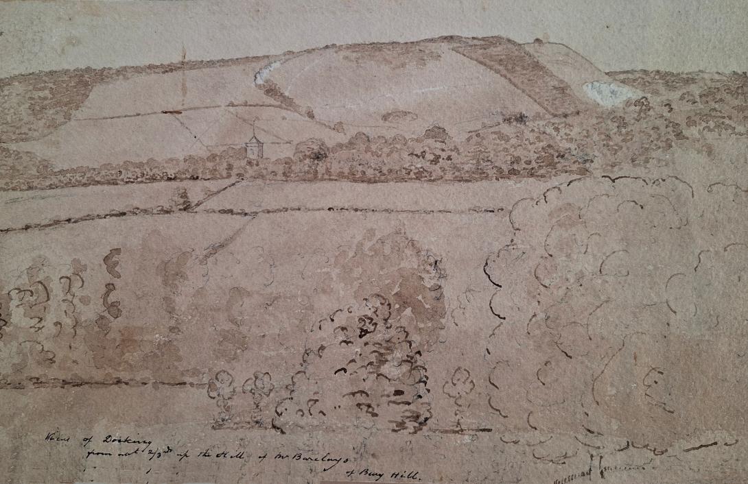 View of Dorking from Robert Barclay's Bury Hill Estate 1835 | Artware ...